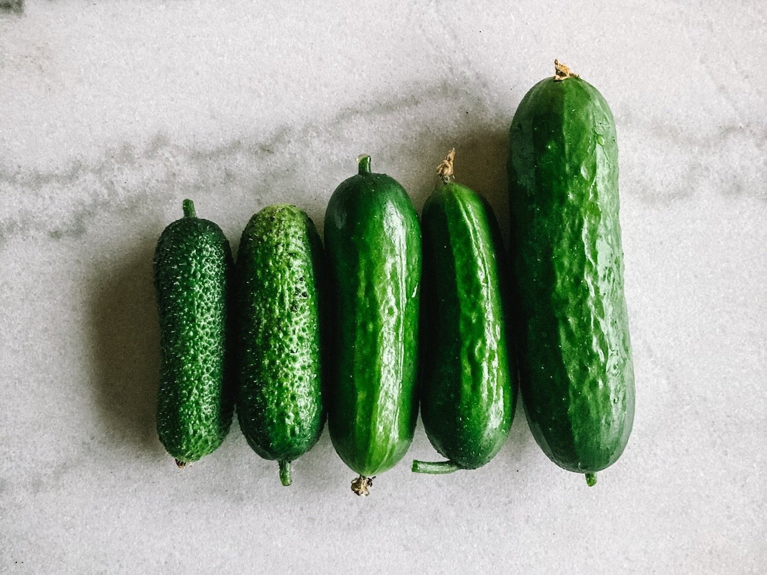 The Top 15 Vegetables to Grow in the Heat — The Seed Sage | Raised Bed ...