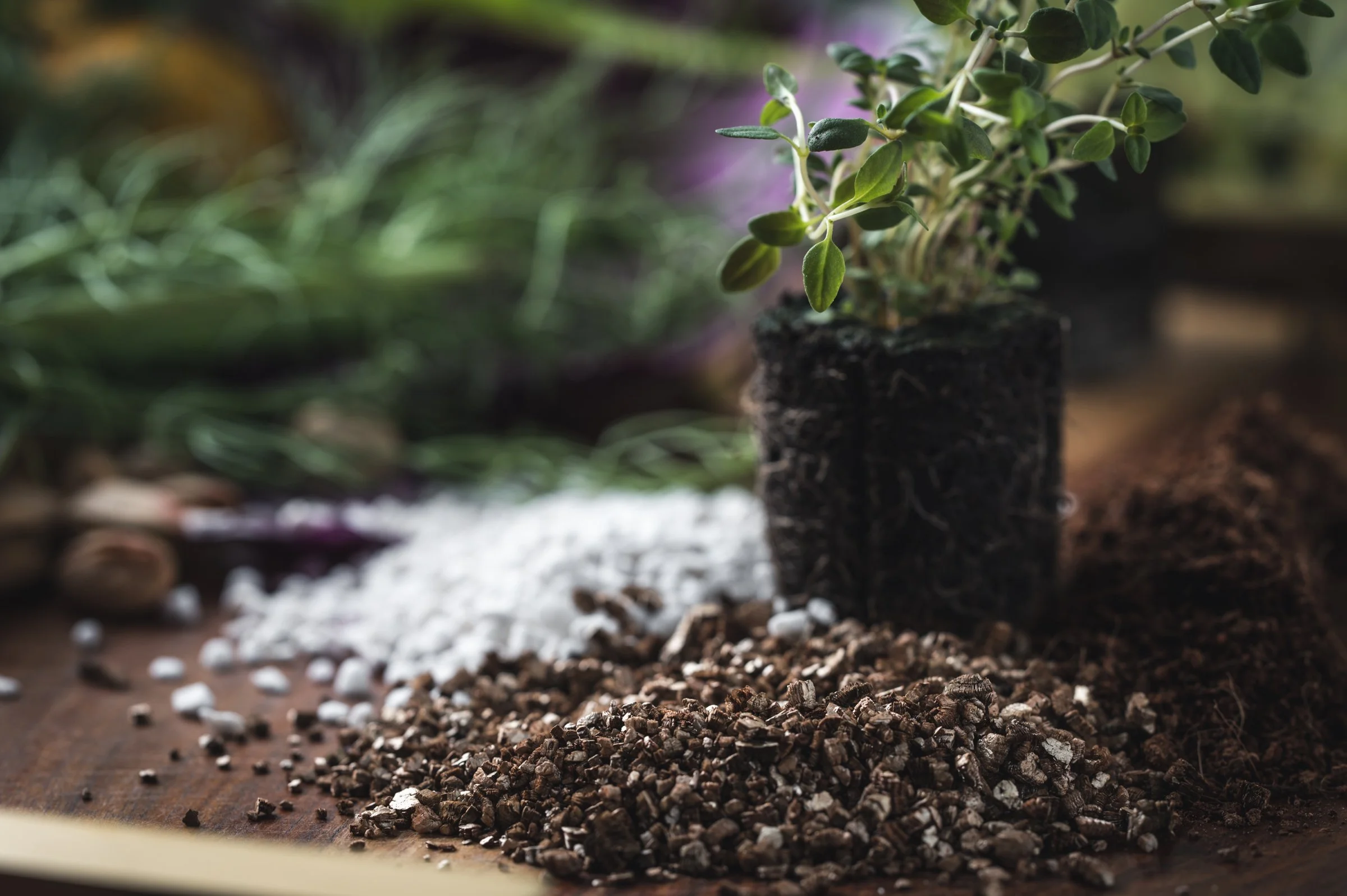 Make Your Own DIY Organic Seedling Mix for Cheap — The Seed Sage ...