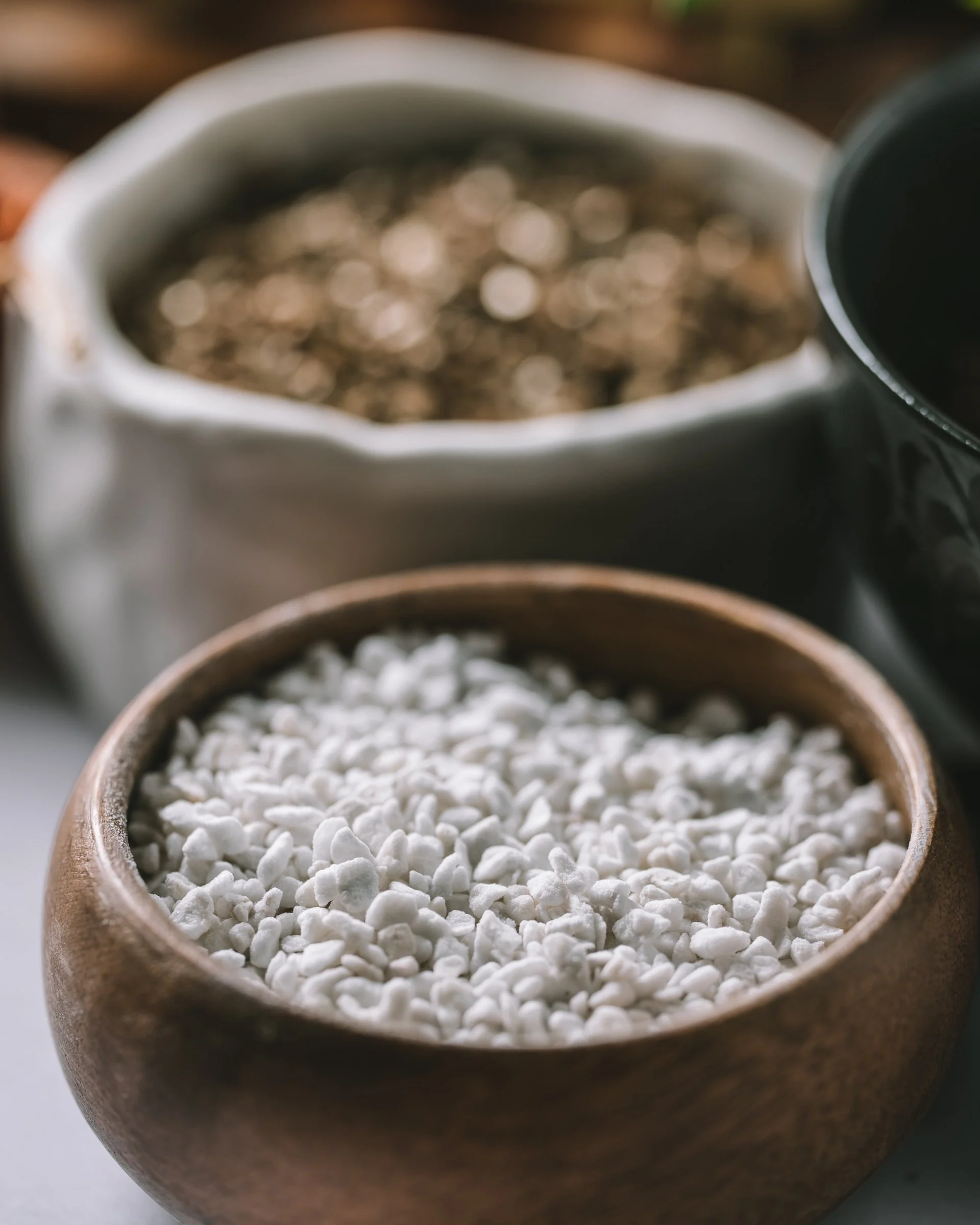 Make Your Own DIY Organic Seedling Mix for Cheap — The Seed Sage ...
