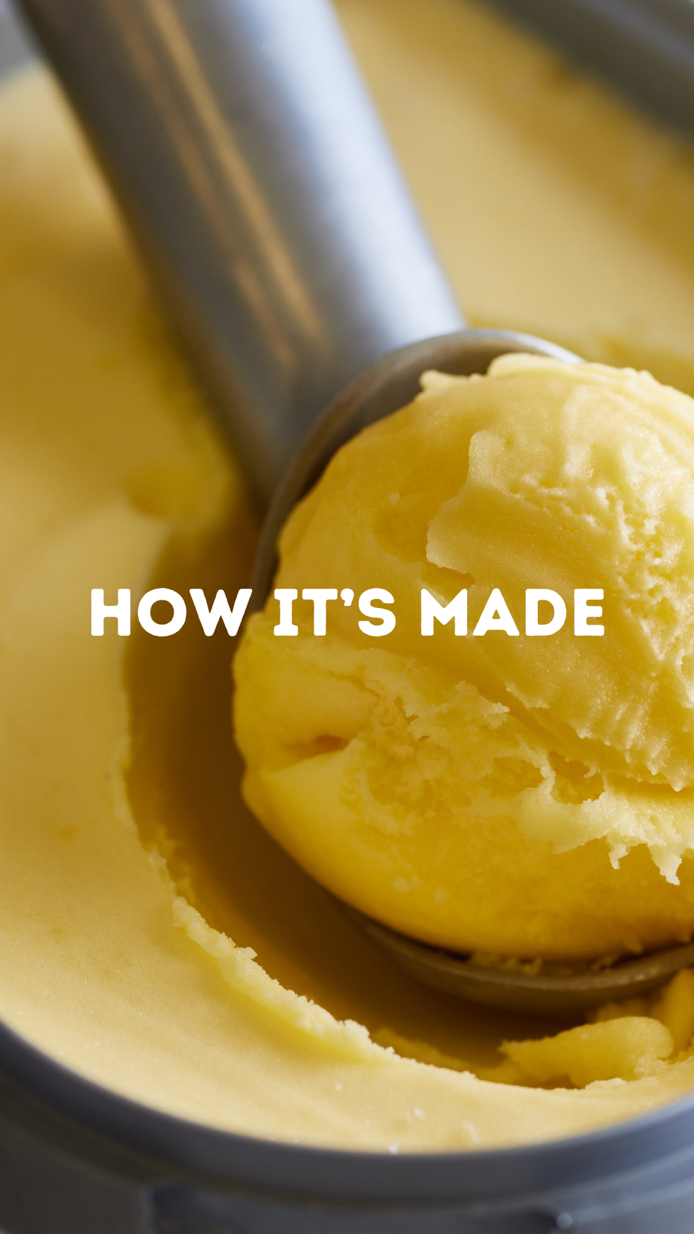 Our Farm & Herd | Discover Our Farm & Herd Today — Callestick Farm