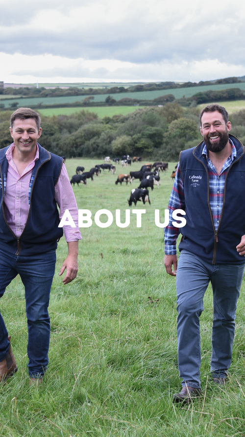 Our Farm & Herd | Discover Our Farm & Herd Today — Callestick Farm