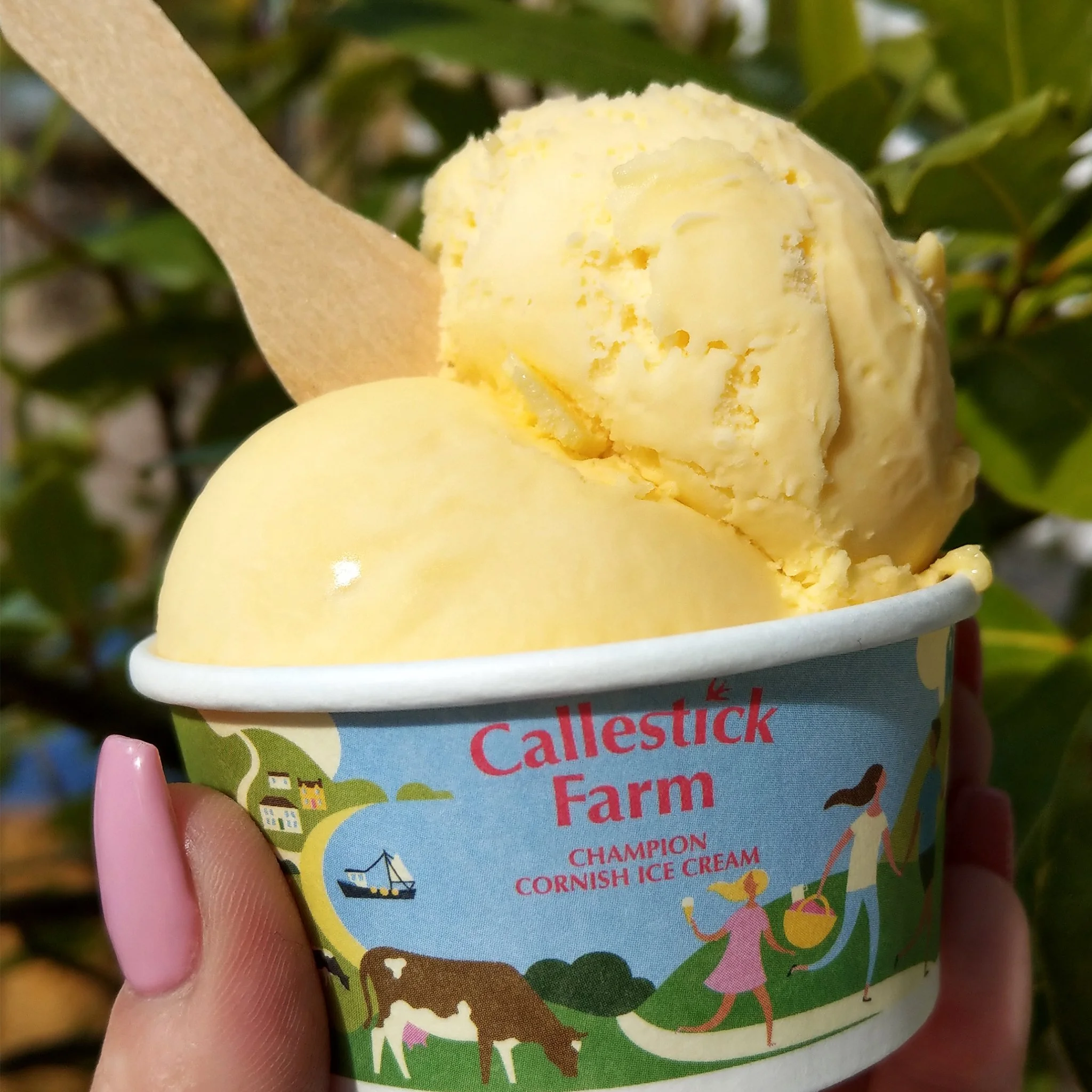 Our Flavours — Callestick Farm