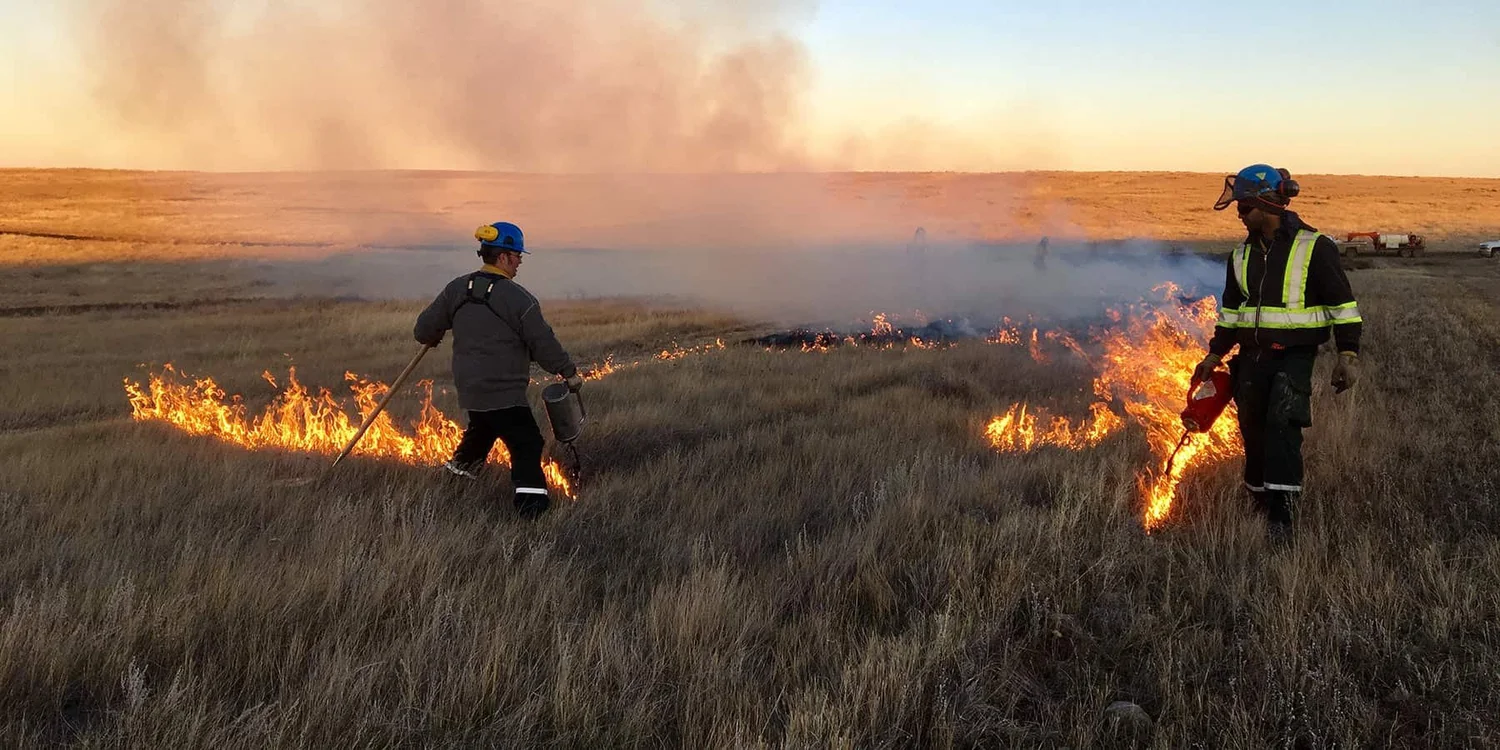 What is Prescribed Fire? — Canadian Prairies Prescribed Fire Exchange