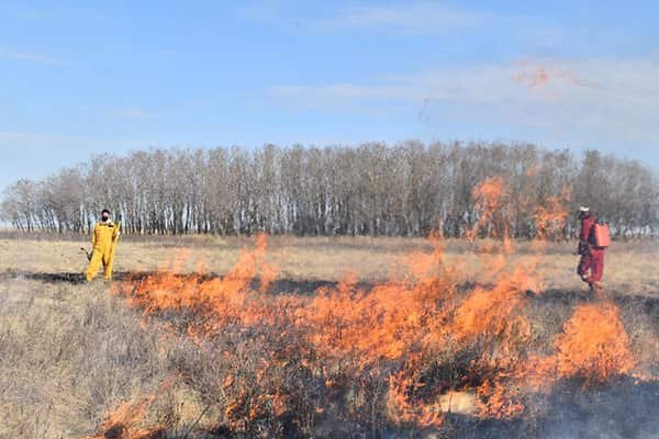 Canadian Prairies Prescribed Fire Exchange
