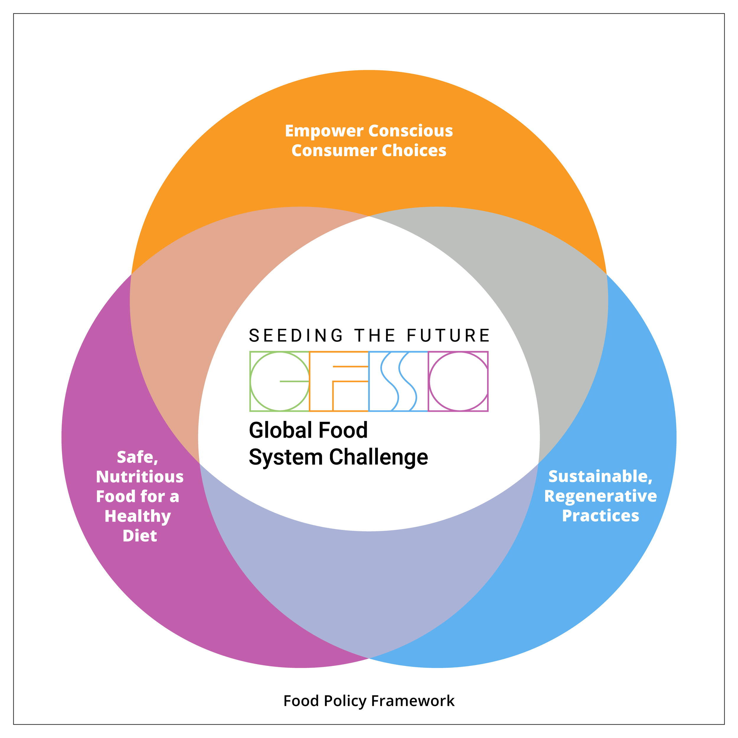 The Seeding The Future Foundation