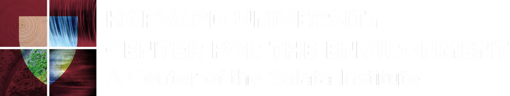 The Seeding The Future Foundation