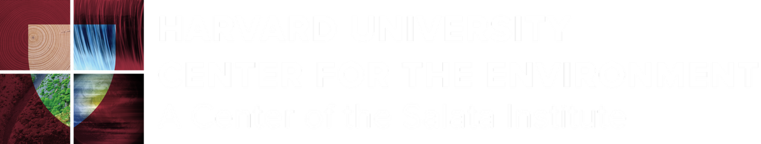 The Seeding The Future Foundation