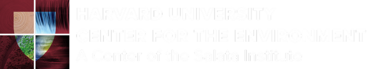 The Seeding The Future Foundation