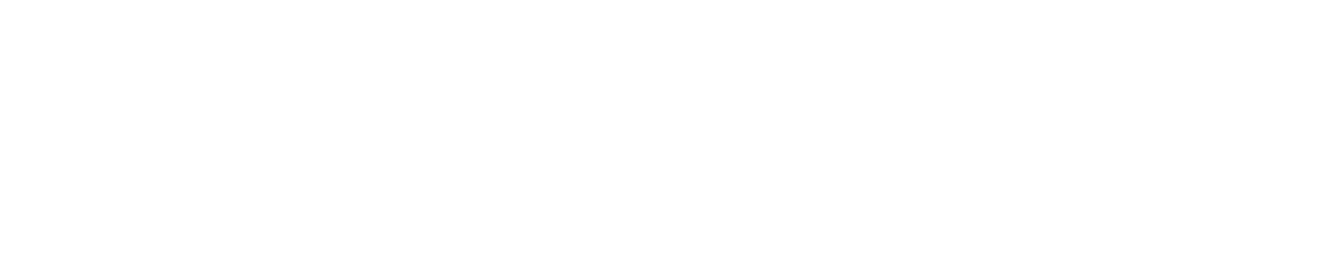 Management Team — DSW