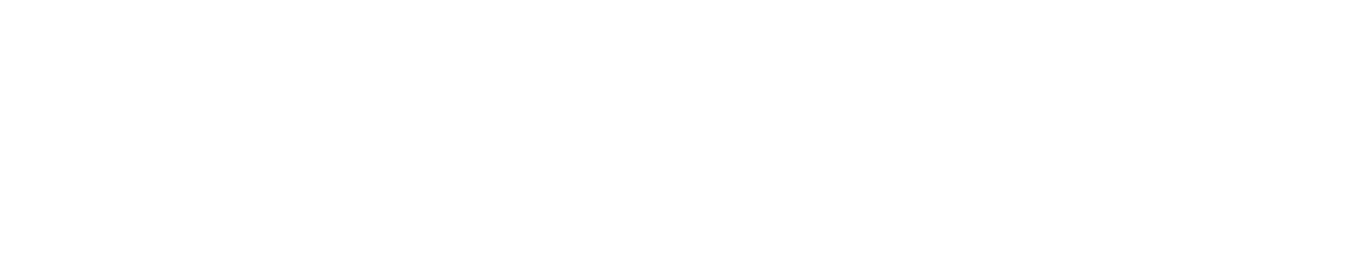 Management Team — DSW