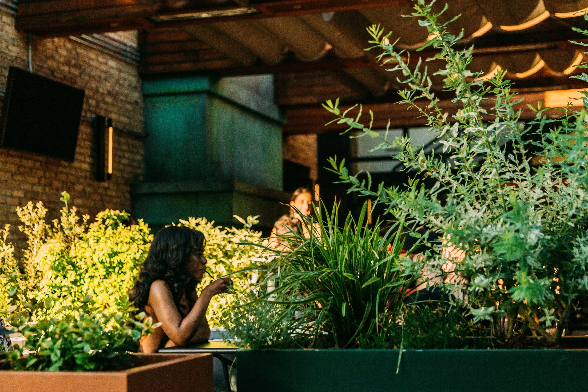 Schubas Tavern — Schubas / Tied House
