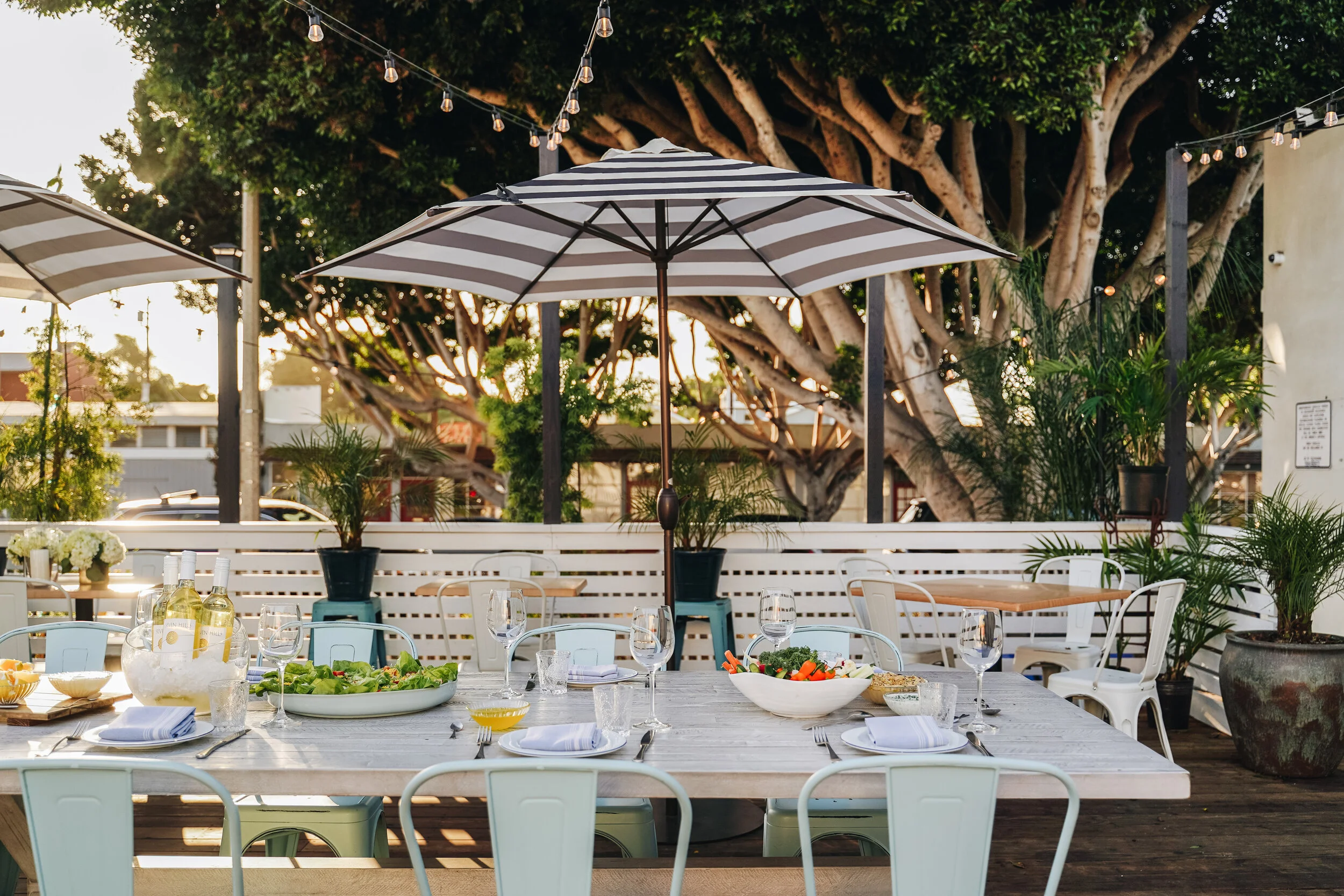 Events — Puffer Malarkey Collective