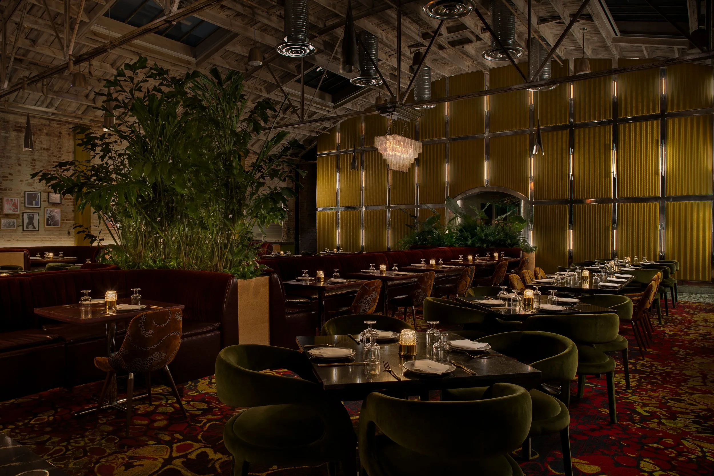 Puffer Malarkey Collective