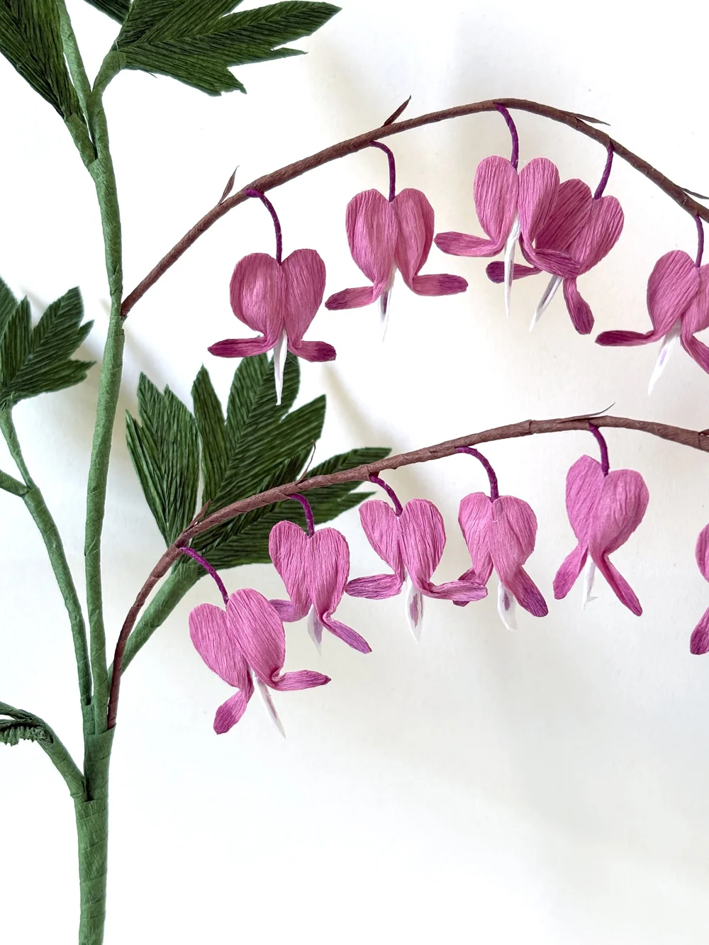 Bleeding Hearts — Campbell Workshop - Paper Flowers UK