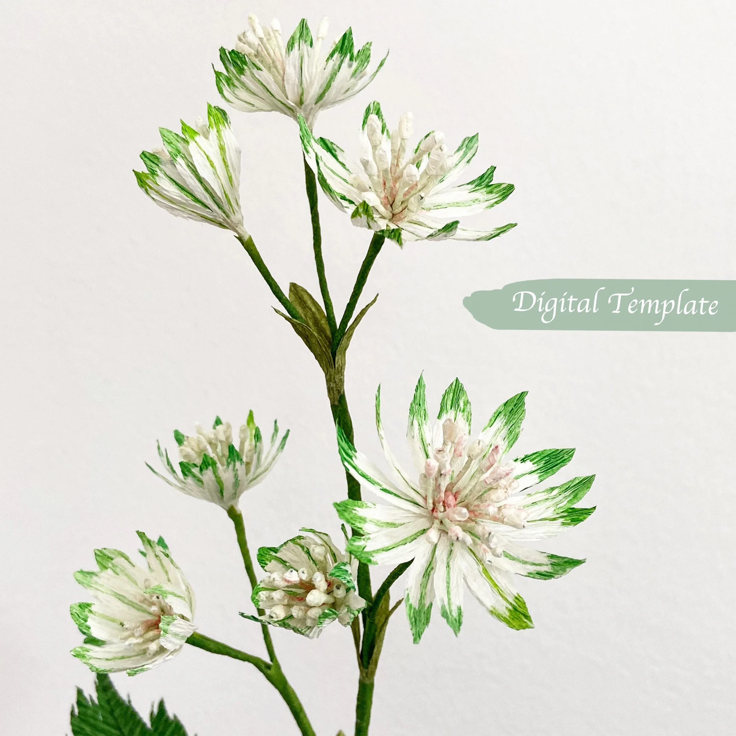 Paper Aster Flower Digital Template — Campbell Workshop