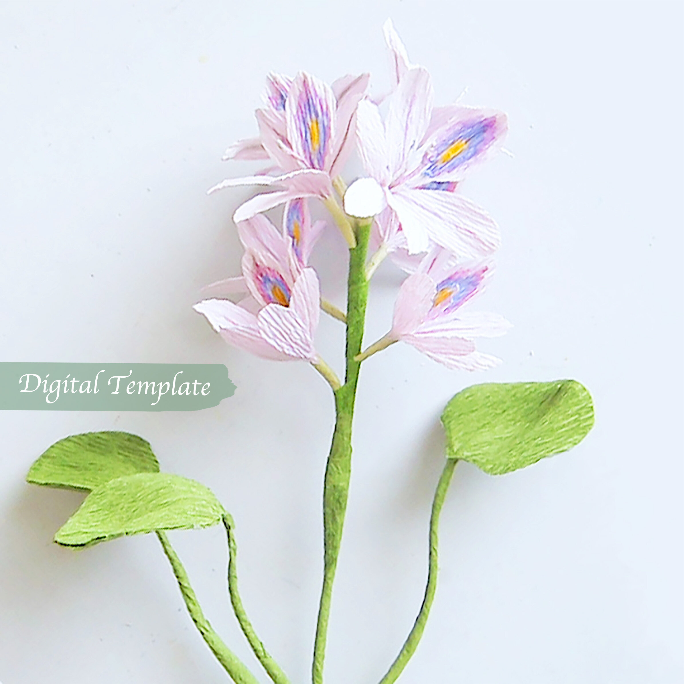 Handmade Crepe paper Columbine Flower - Aquilegia Digital Template with ...