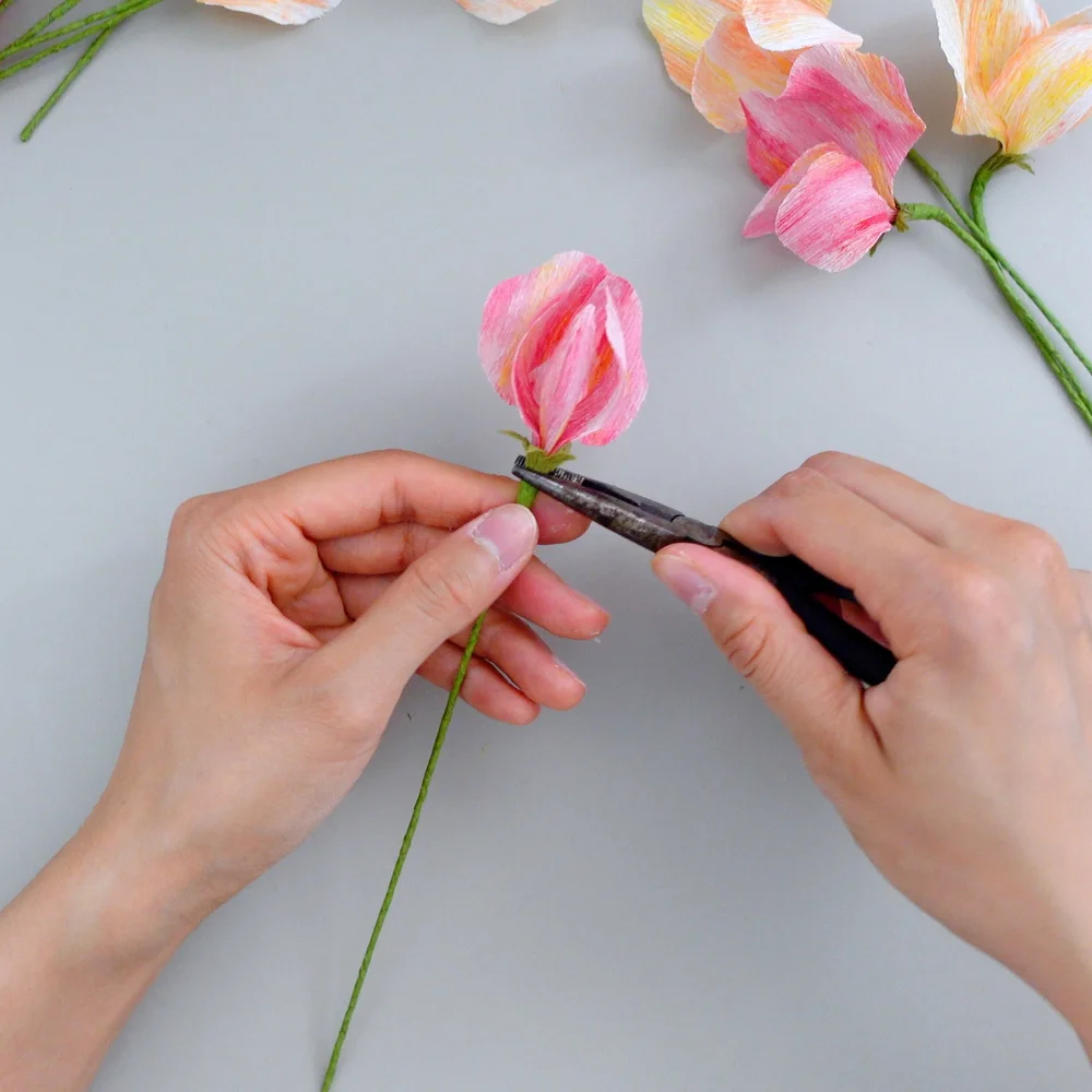 Handmade Crepe Paper Cosmos flower Digital Template with Video Tutorial ...