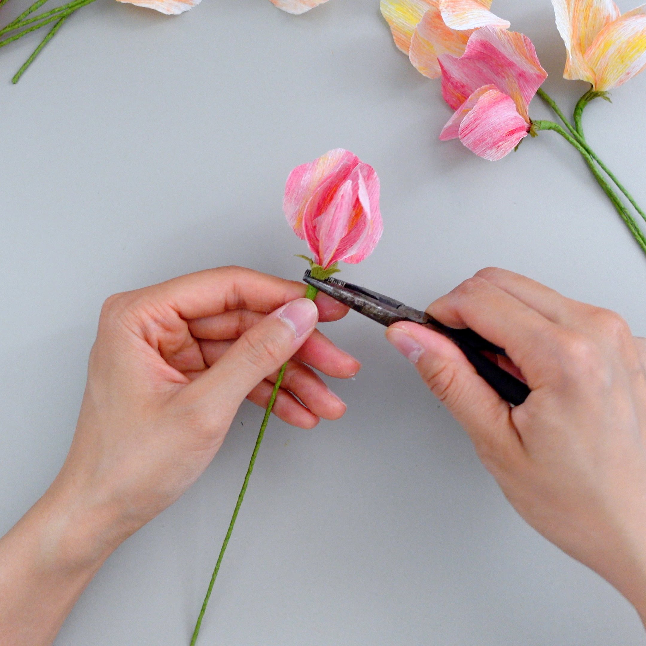 Handmade Crepe Paper Cosmos flower Digital Template with Video Tutorial ...