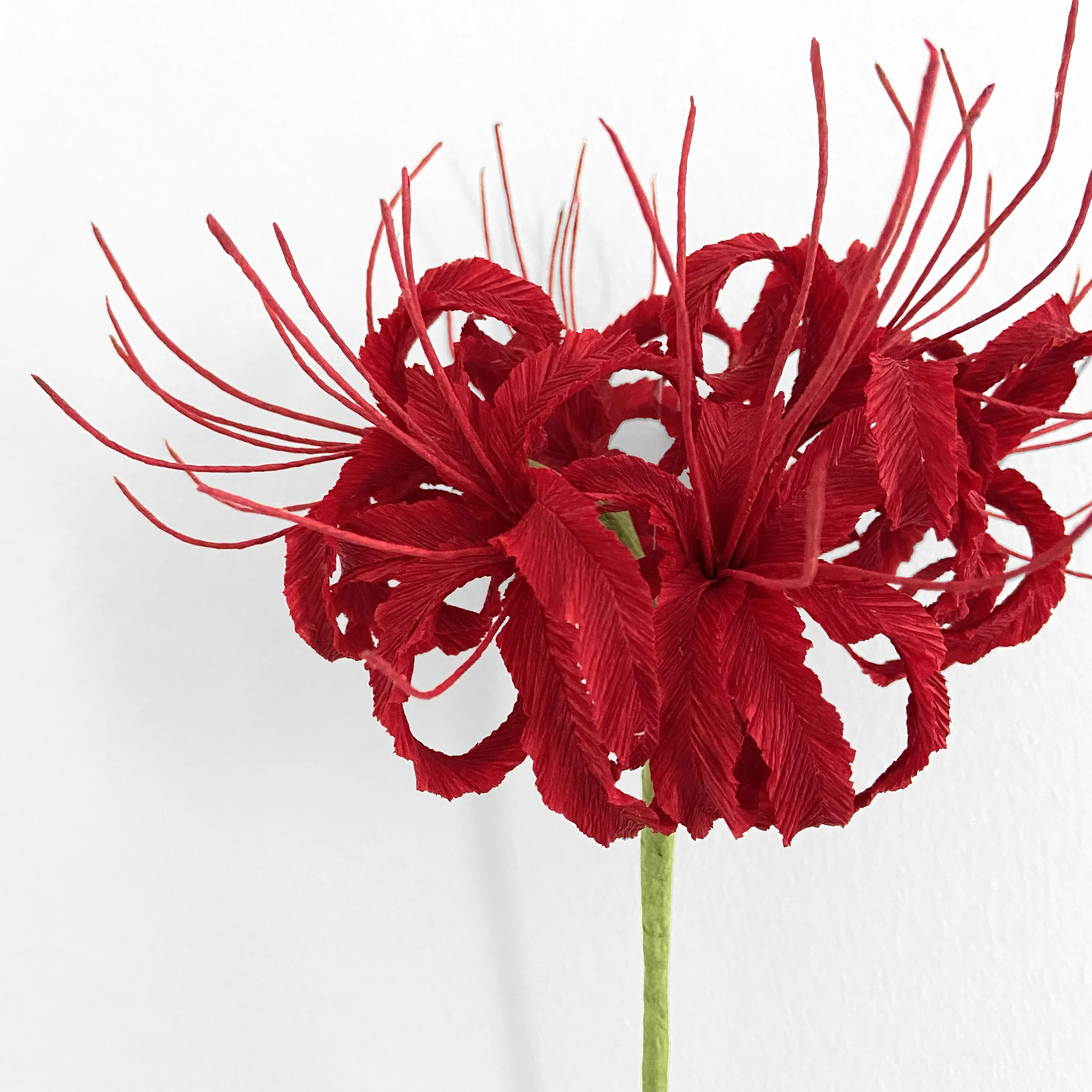 MAKING SPIDER LILIES WITH CREPE PAPER — Campbell Workshop - Paper ...
