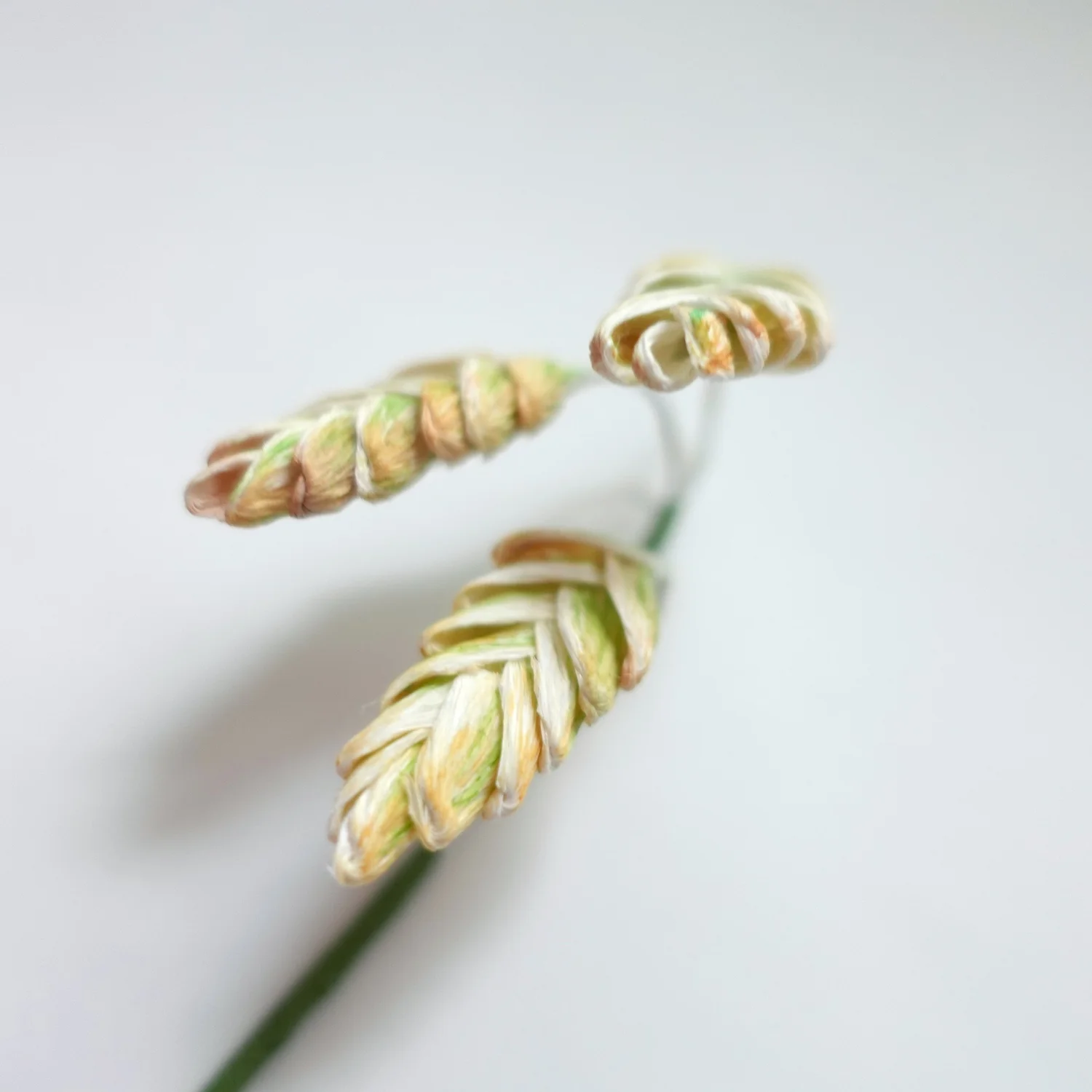 LEARNING TO MAKE A WILD FLOWER - QUAKING GRASS — Campbell Workshop ...