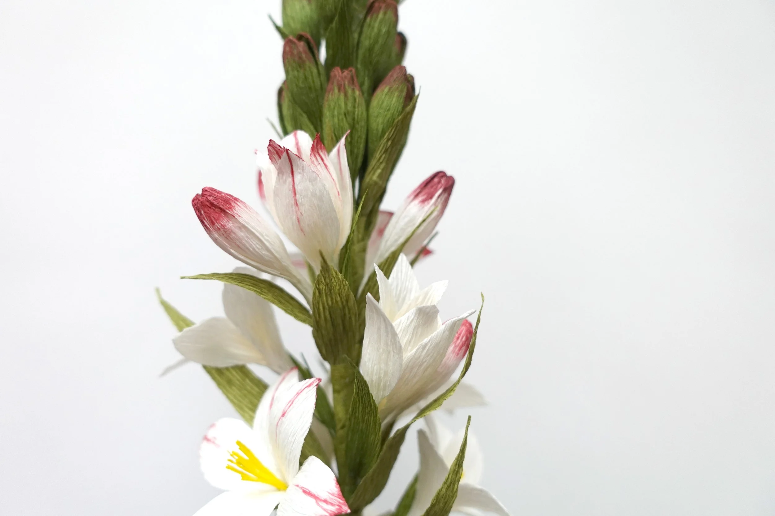 LEARN TO MAKE TUBEROSES with Crepe Paper — Campbell Workshop - Paper ...
