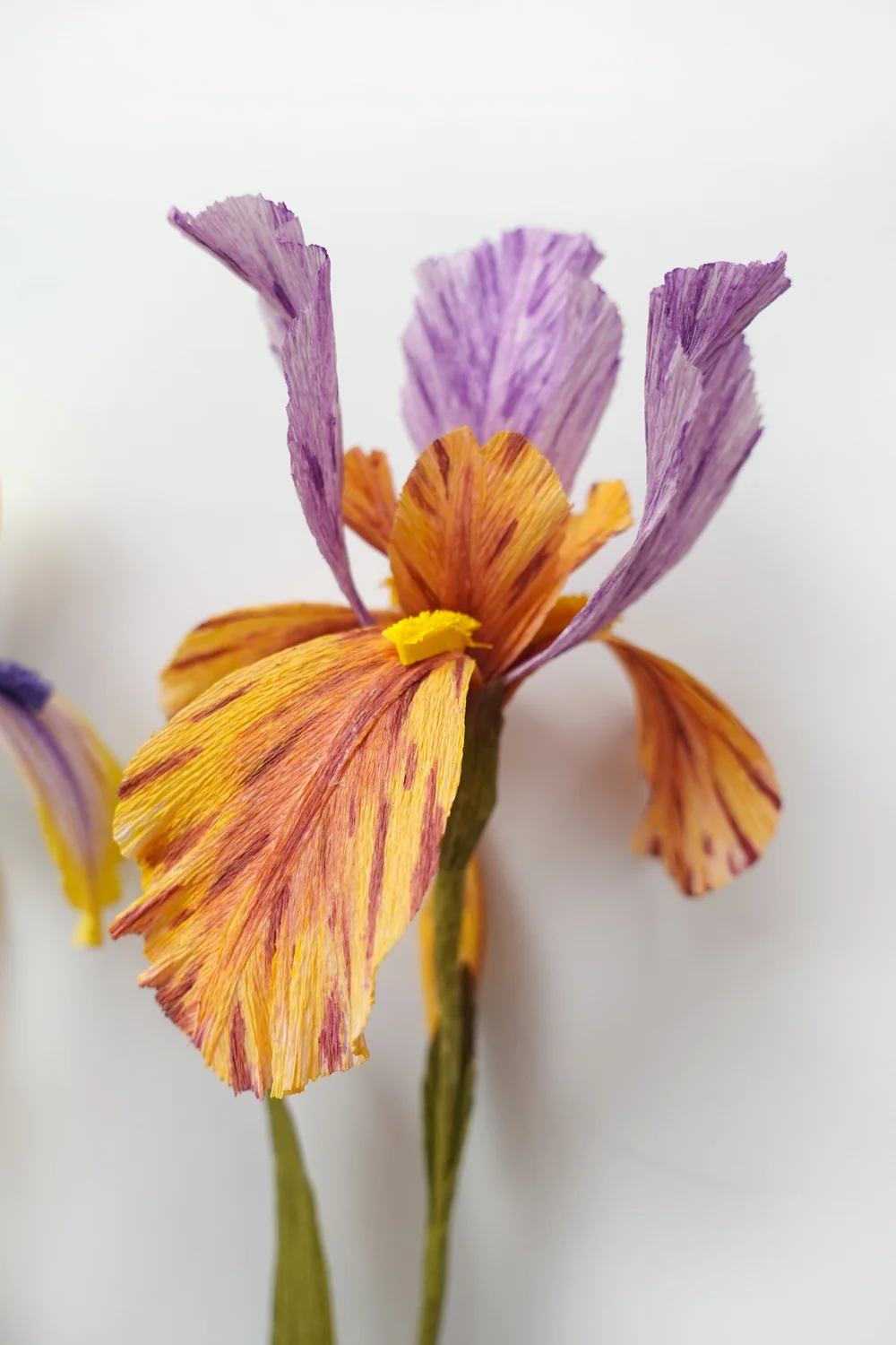 MAKING BEARDED IRIS WITH CREPE PAPER - 90G VERSION — Campbell Workshop ...