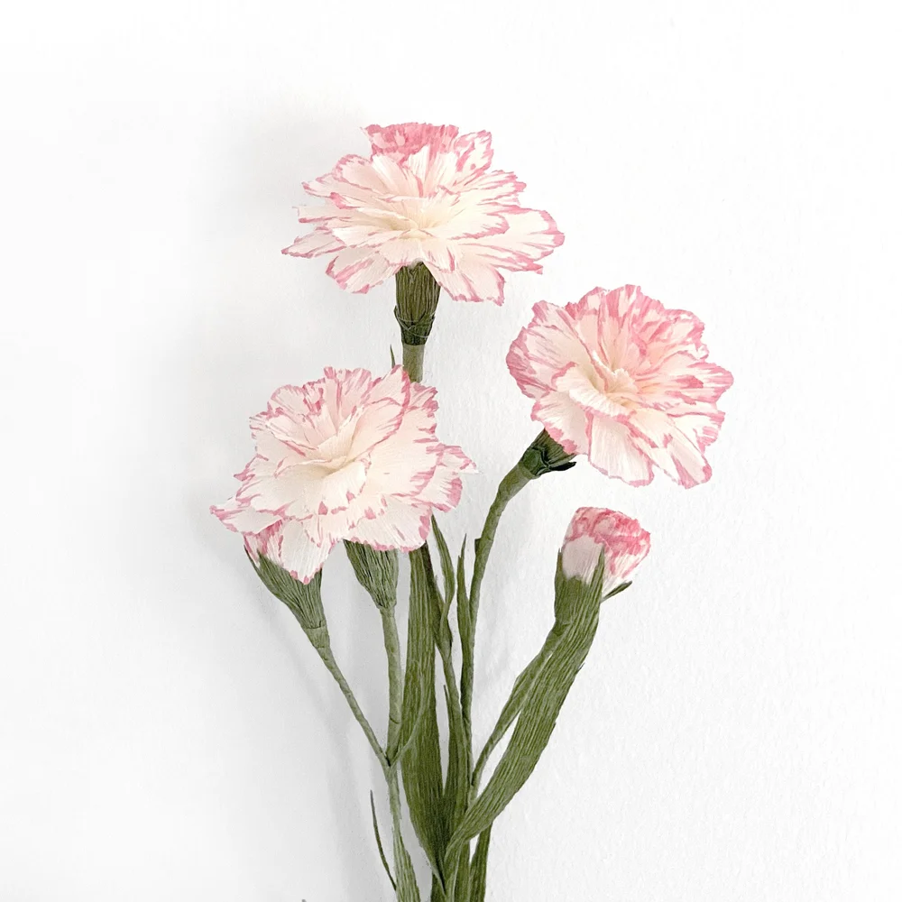 Paper Flower DIY Guideline — Campbell Workshop- Paper Flower UK
