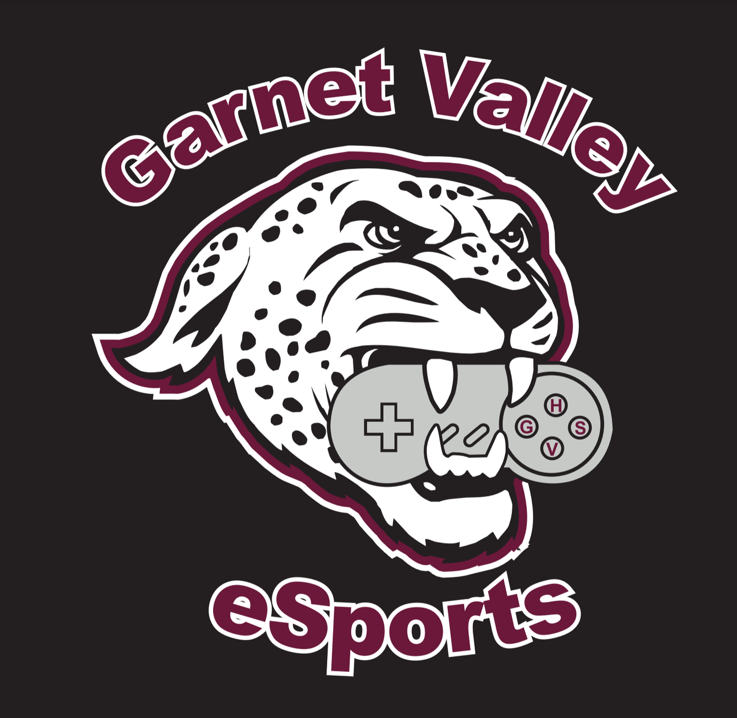 eSports Program — Garnet Valley School District