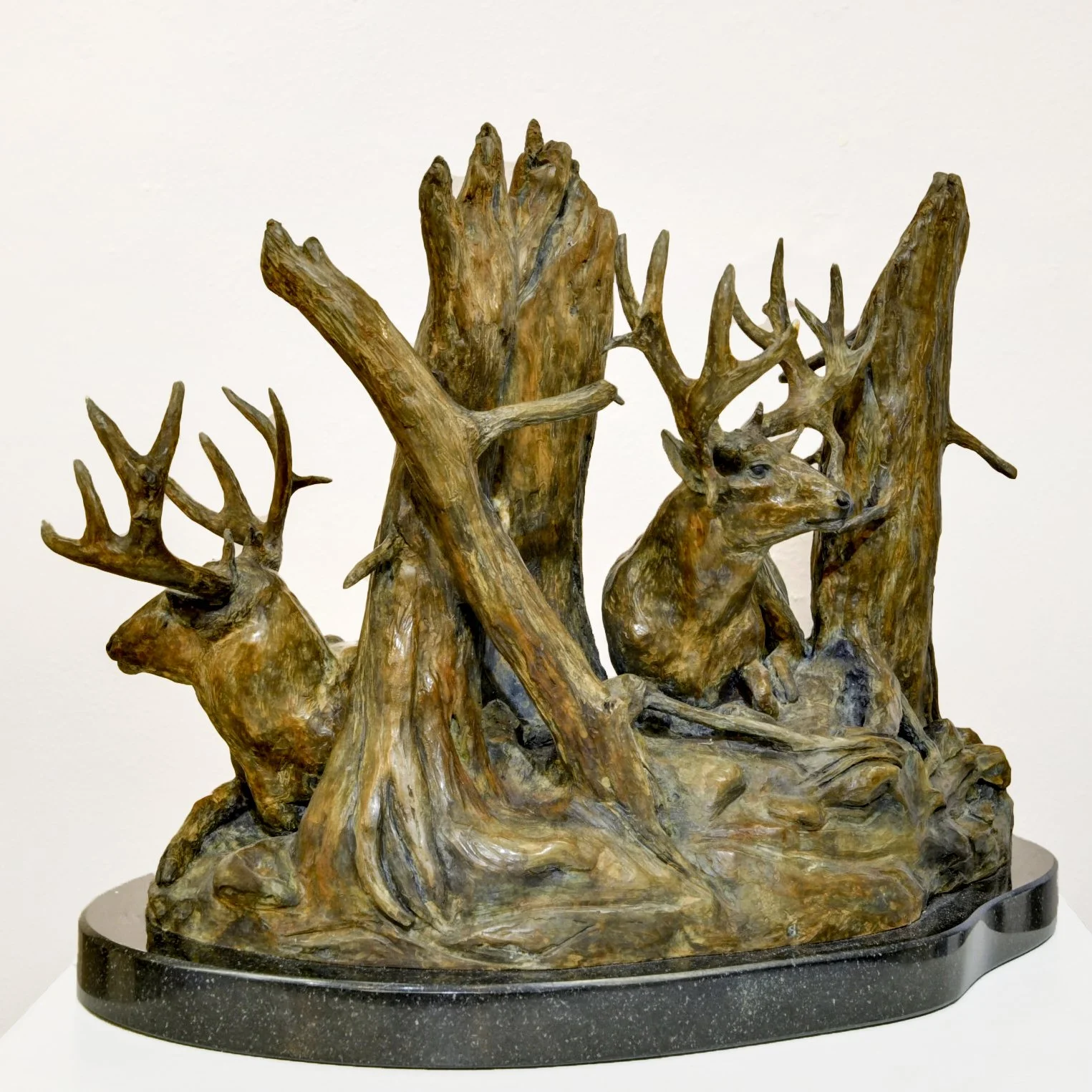 McCall Life Magazine