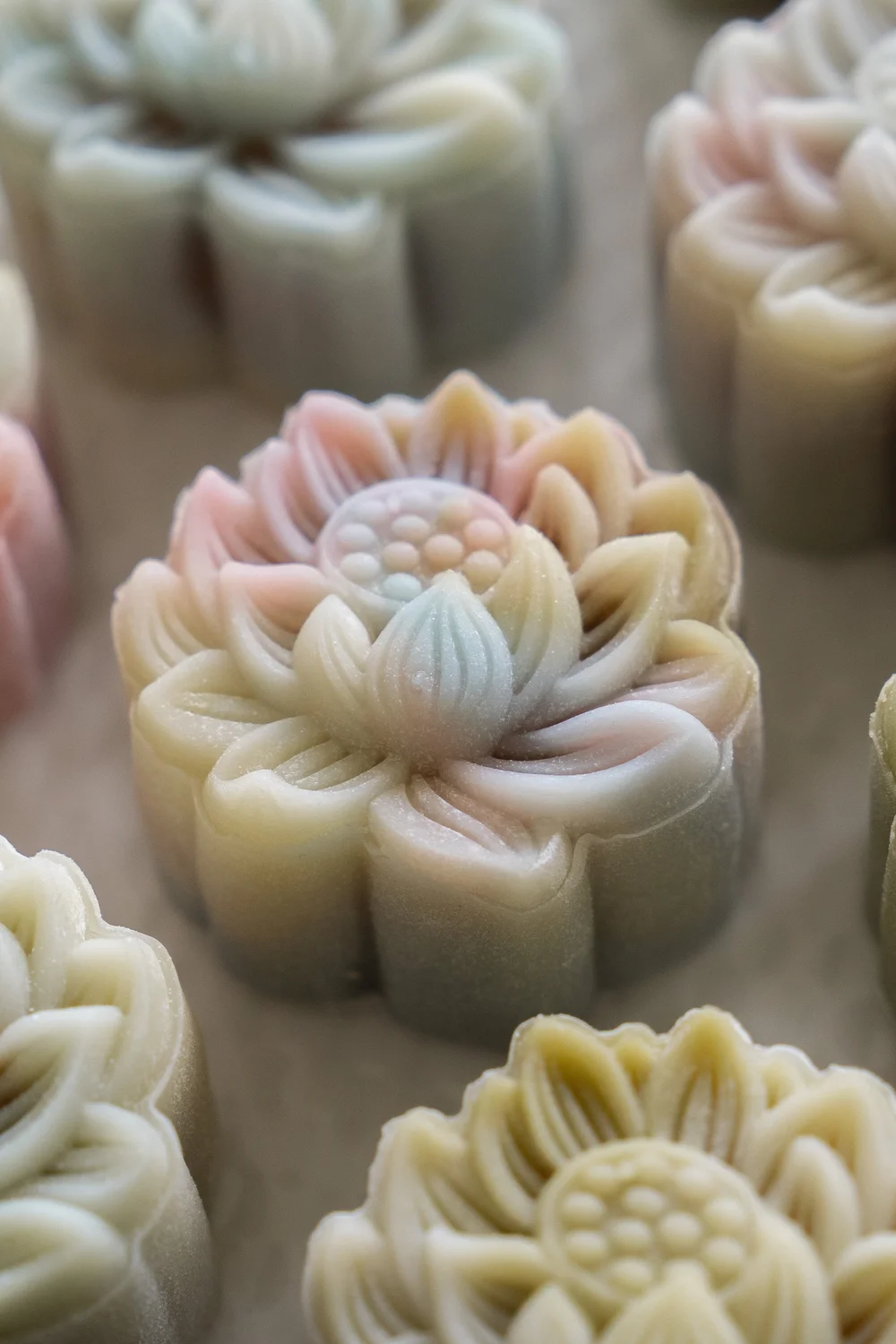 Gallery — Jasma Fusion Cuisine