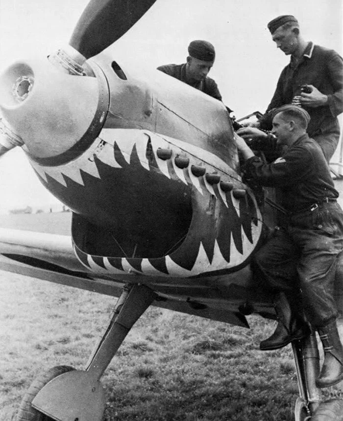 BITE ME! The Story of the Shark Mouth, the World’s Most Enduring Nose ...