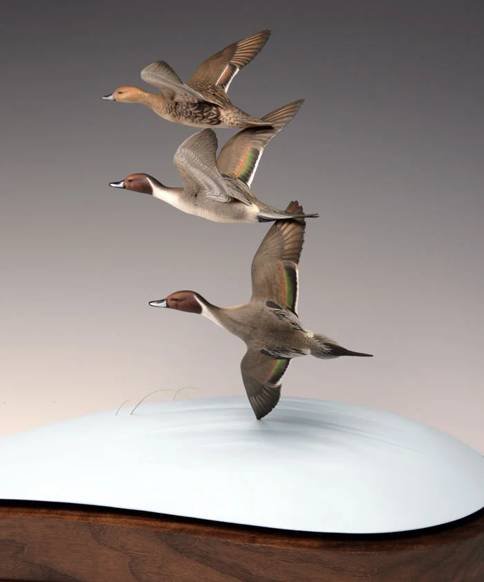 AVIAN FUSION — Where Nature, Technology and Art Meet. — Vintage Wings ...