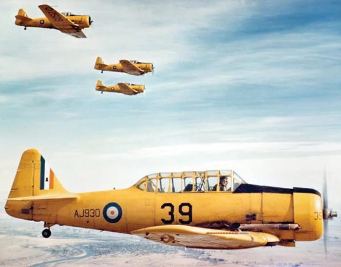 ROUNDEL ROUND-UP — Vintage Wings of Canada