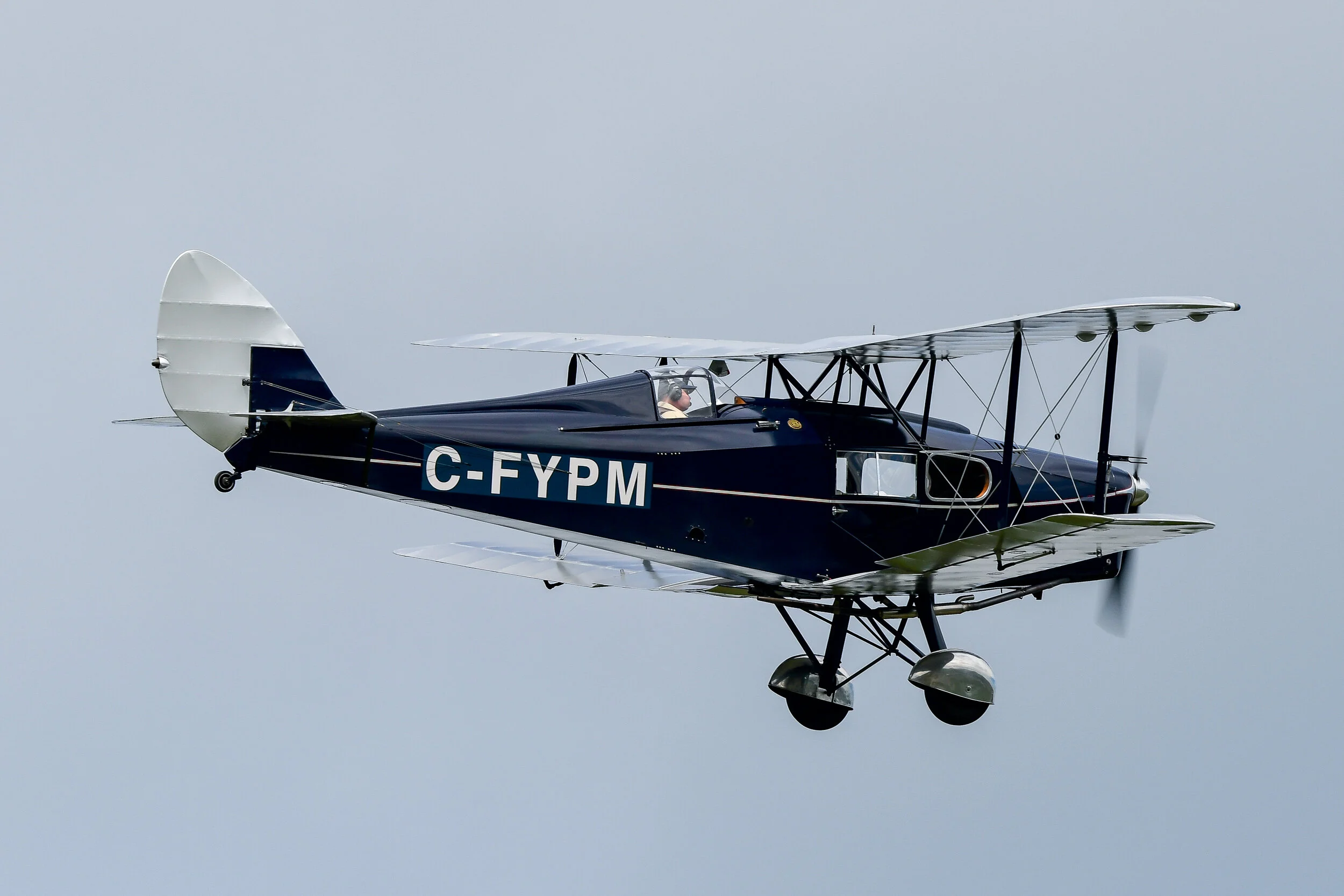 Fox Moth — Vintage Wings of Canada