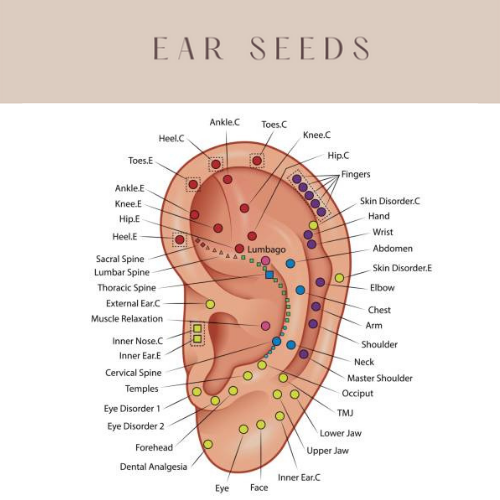 Ear Seed Instructions — Calgary Acupuncture Collective | Acupuncture ...