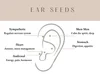 Ear Seed Instructions — Calgary Acupuncture Collective | Acupuncture ...