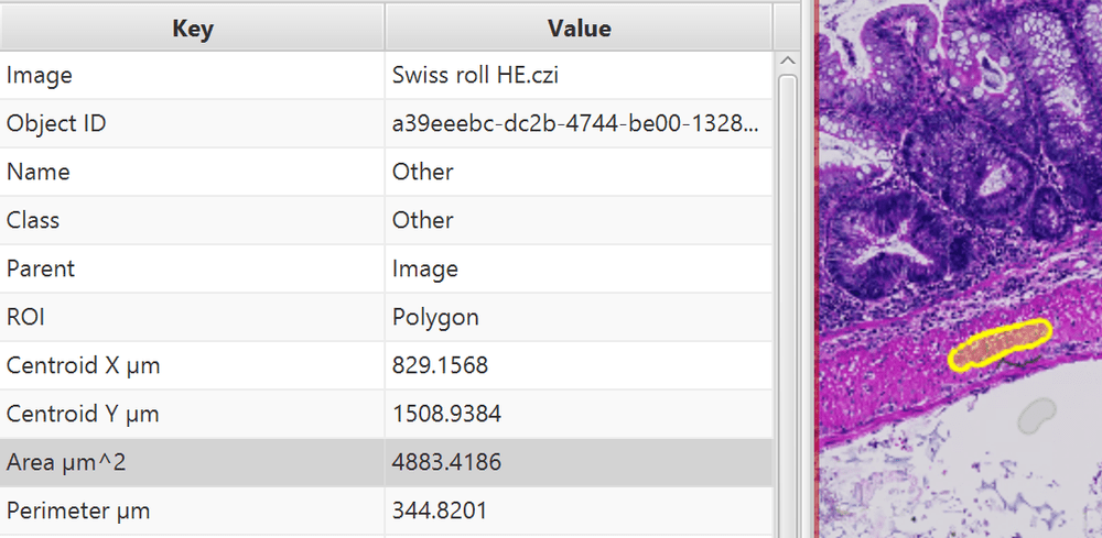 Pixel classifier training — Image Scientist