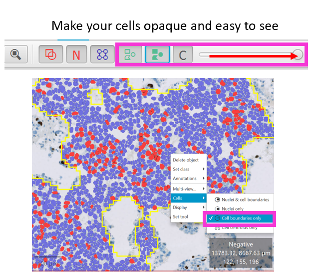 Creating a project — Image Scientist
