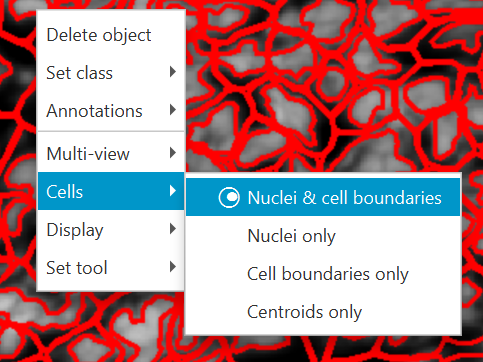 Creating a project — Image Scientist