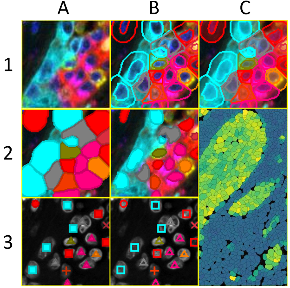 Creating a project — Image Scientist