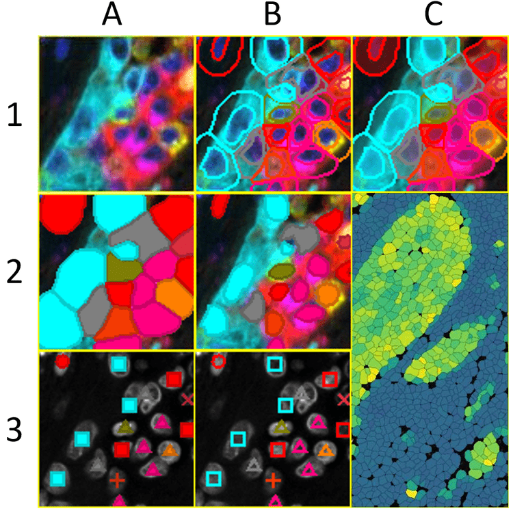 Creating a project — Image Scientist