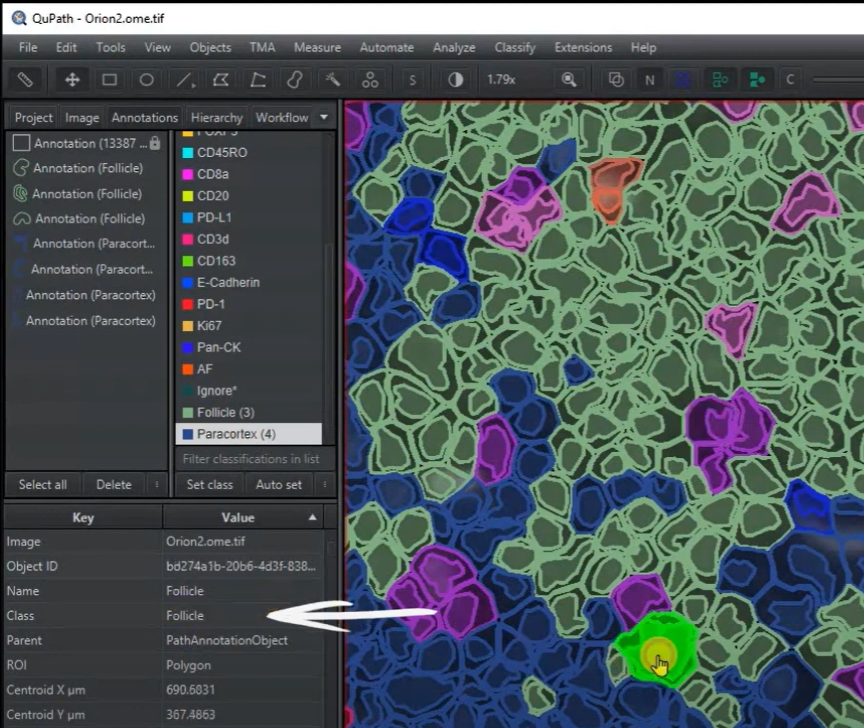 Image Analysis Topics — Image Scientist