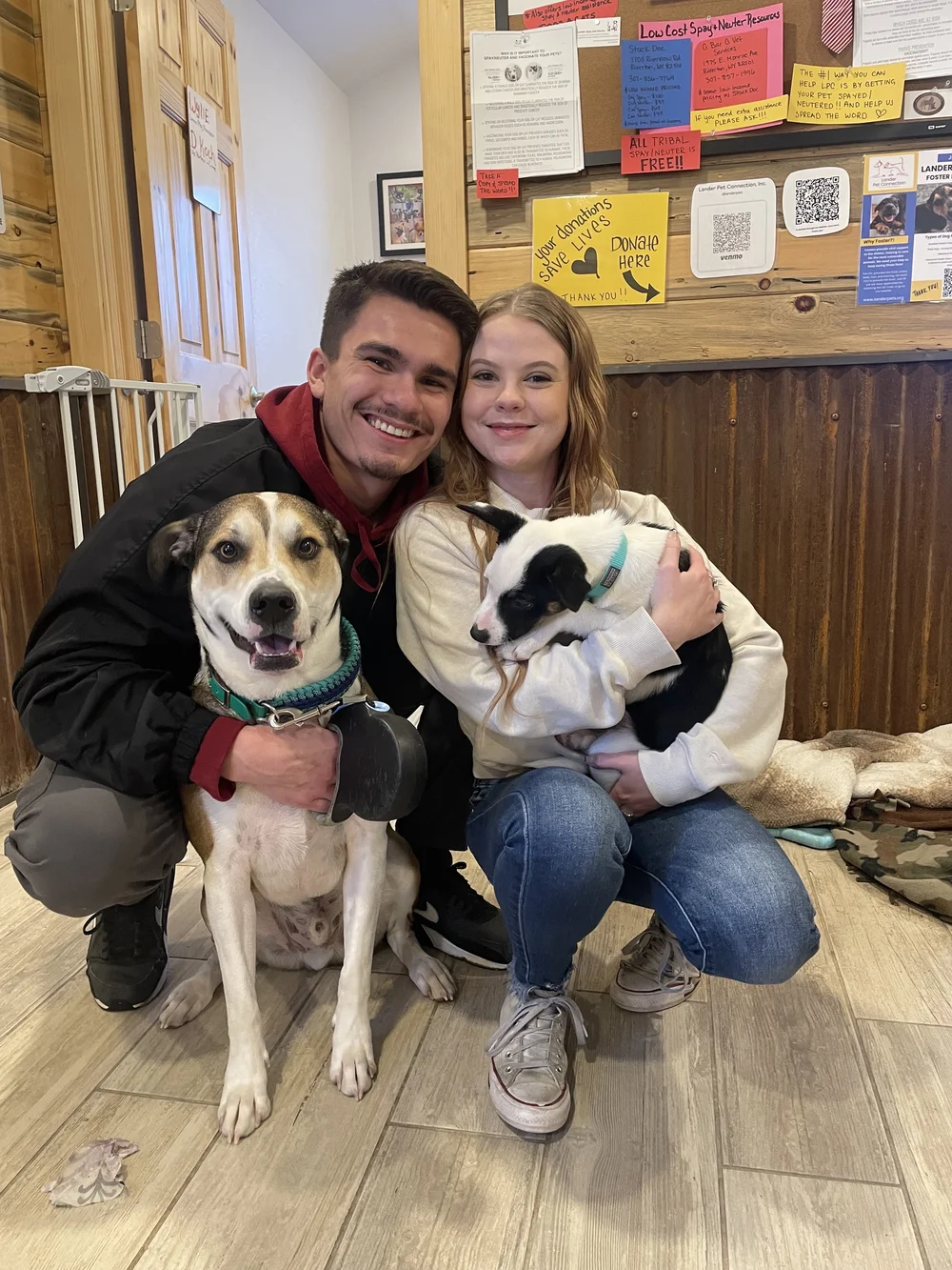 Lander Pet Connection