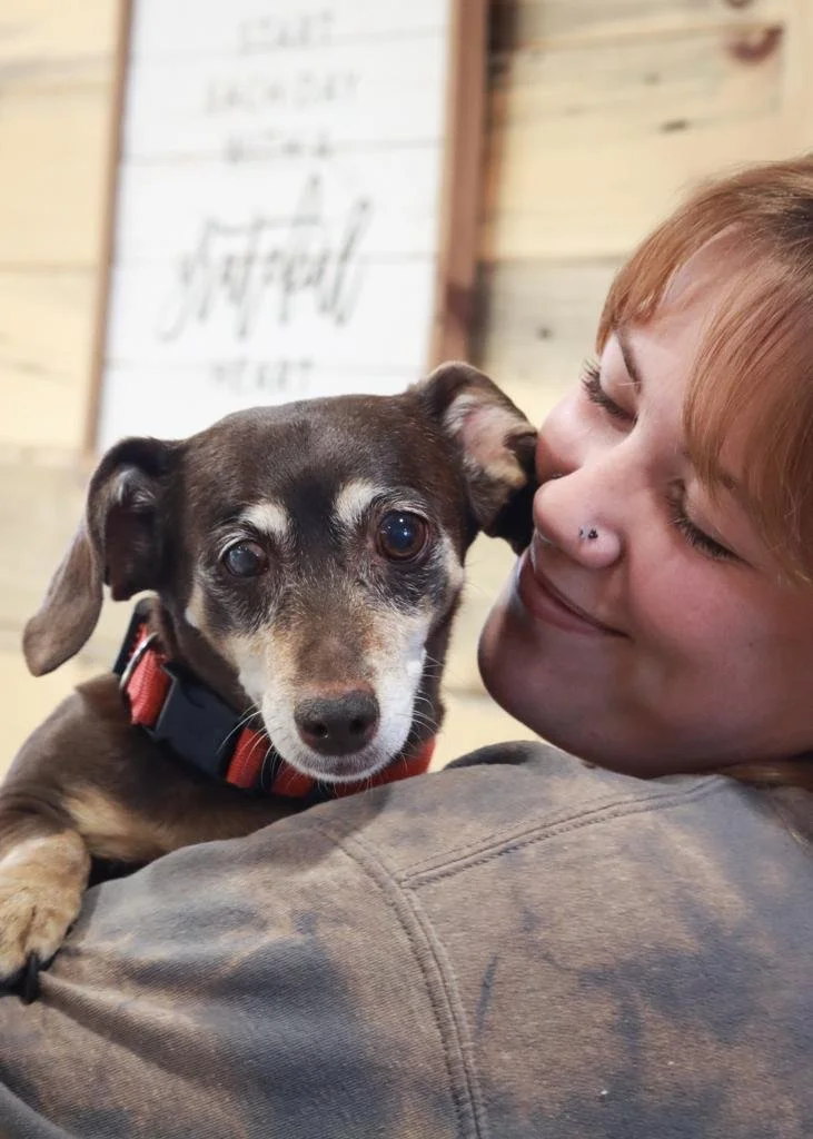 Lander Pet Connection