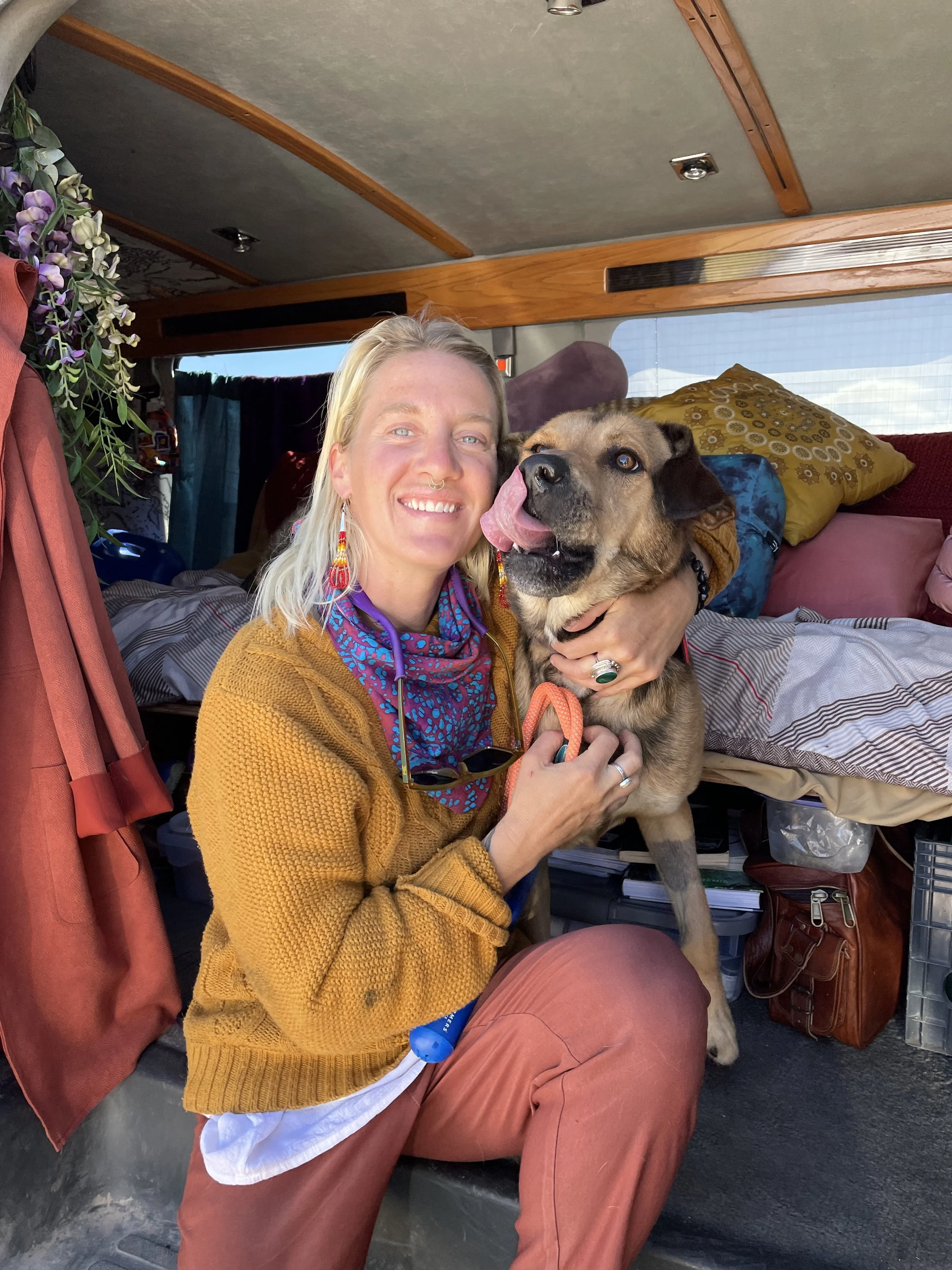 Lander Pet Connection