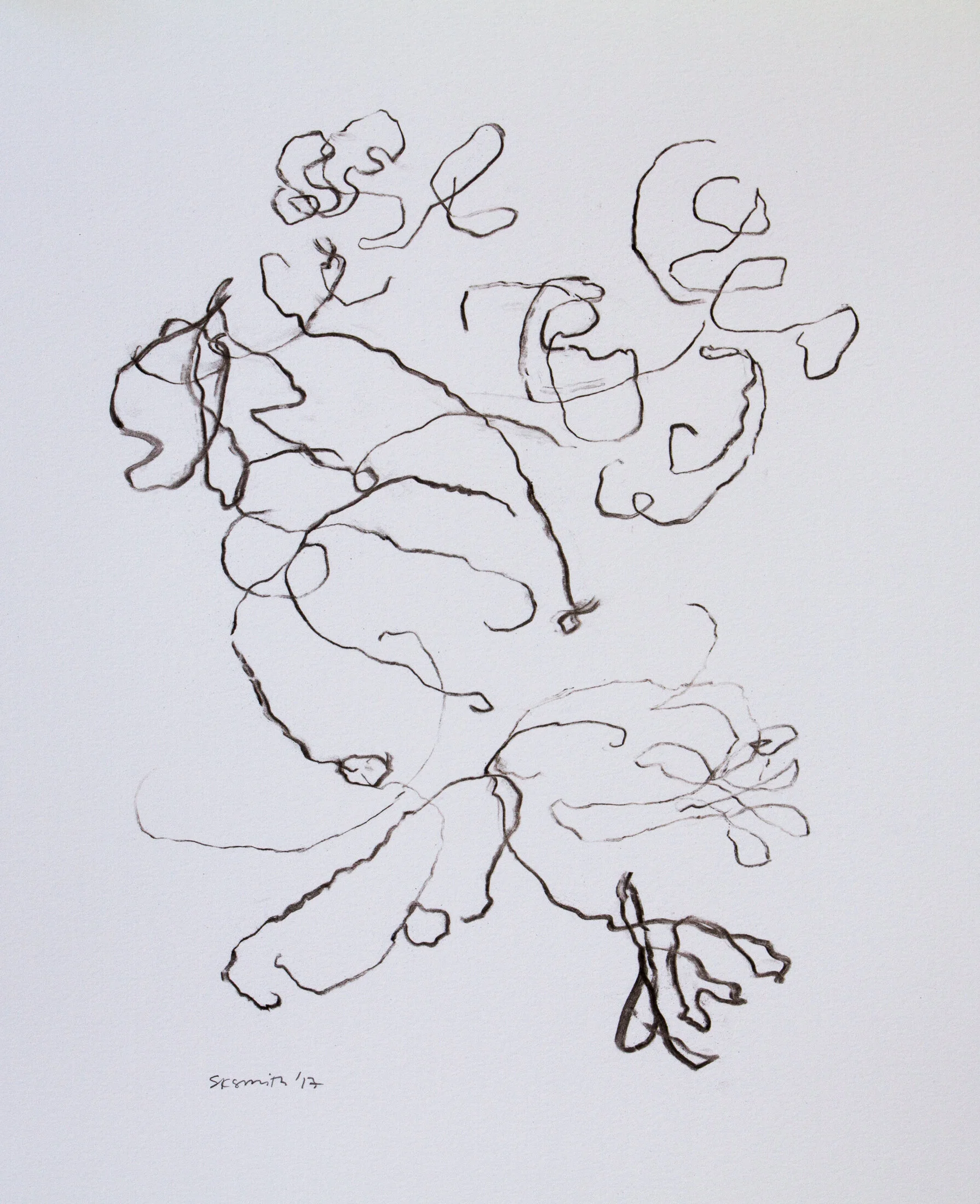 Fire Trails — Sally K. Smith Art