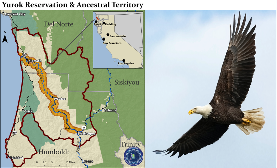 Per-geesh Construction Corporation