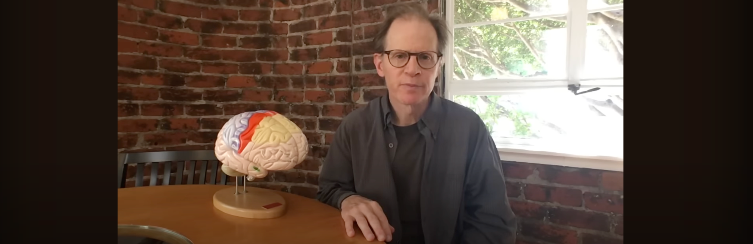 Dr. Dan Siegel's Hand Model of the Brain — Lapis Light