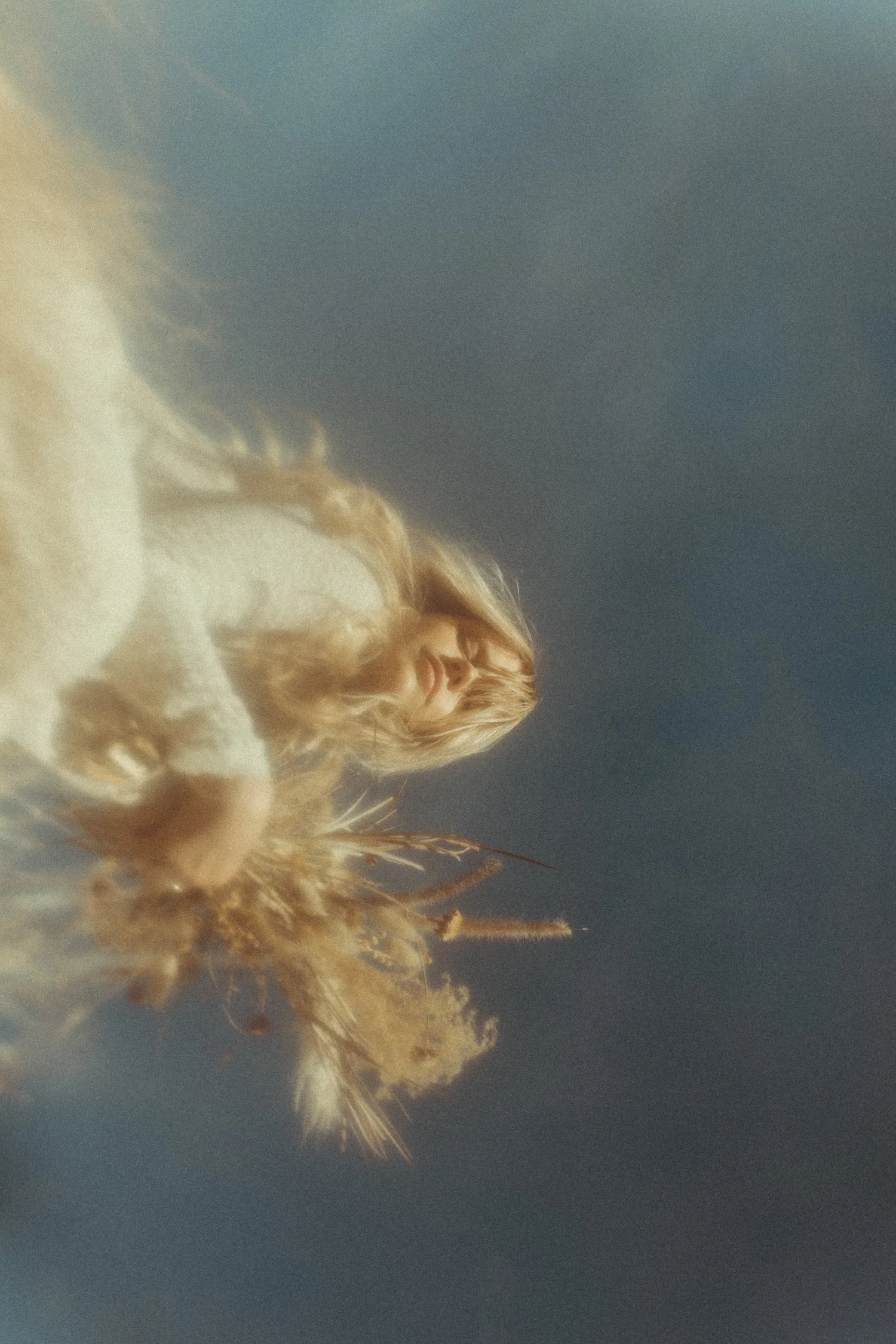 Annie Morgan Photography