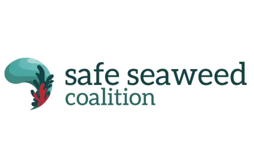 VYLD - Ocean Saving.Period.